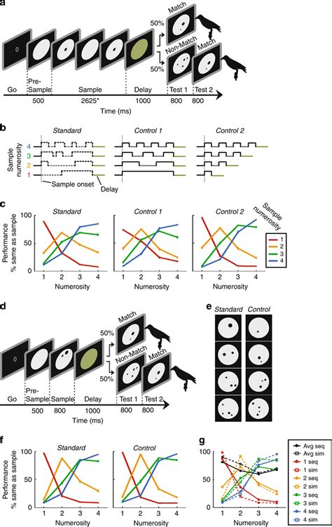 Task And Behavioral Performance A Sequential Delayed Download Scientific Diagram