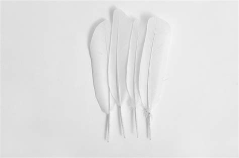 Three White Feathers On A White Background Composition Of Feath Stock ...