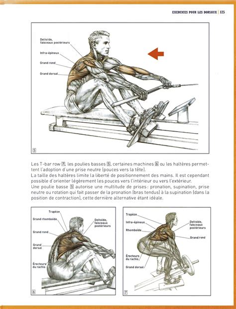Delavier Frédéric Guide Des Mouvements De Musculation Volume 2 By Swag Issuu