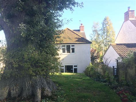 Tree Preservation Orders And Conservation Areas Planning Applications Devon Tree Consultant