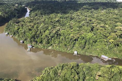 Satélite Comprova Que Terras Indígenas São As áreas Mais Preservadas Do