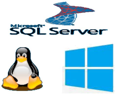 Sql Server雙平台大師 Ricos Tech School