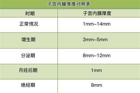 内膜厚度多少正常正常值大山谷图库