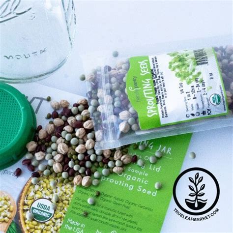 Handy Pantry Sprouting Jar Kits Sprouter Plastic Or Stainless Lids