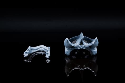 Snapping Turtle Skull 3d Model By Lanternlore On Thangs