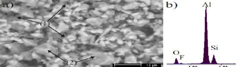 Representative Micrograph Of Sample T1 700°c 60 Min Download