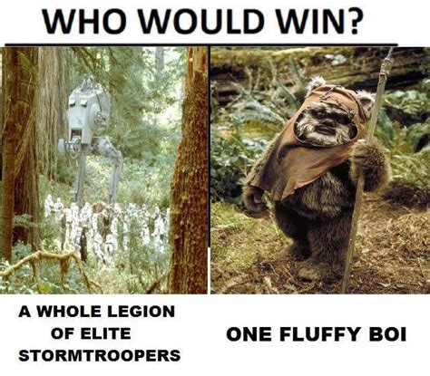 One Fluffy Boi Rotmemes