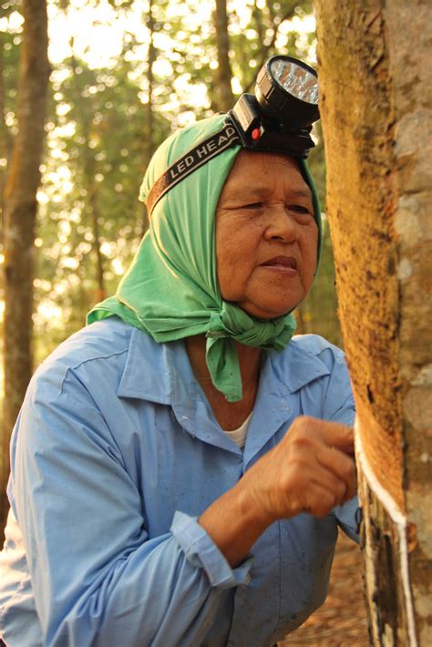 Creative Thinking And Idea Generation A Rubber Tapper S Life