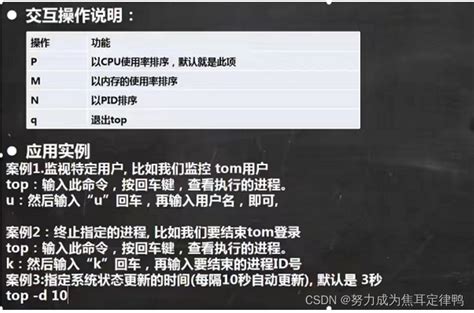 Linux：动态监控进程监控网络状态linux 运行一个监控程序监控另一个程序是否退出 Csdn博客