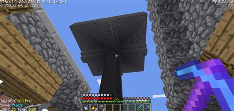 No Mobs Will Spawn Im On 188 Mobs Will Spawn On The Ground During Night But Never In The