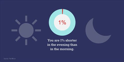 How To Create Visual Statistics Using Data Widgets