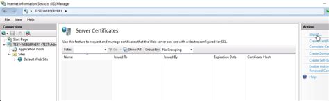 Implementing Two Tier PKI Issuing Web Server Certificate For Windows And Linux Web Servers