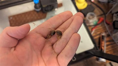 Weird Blobs Of Filament On My Prints Rfixmyprint