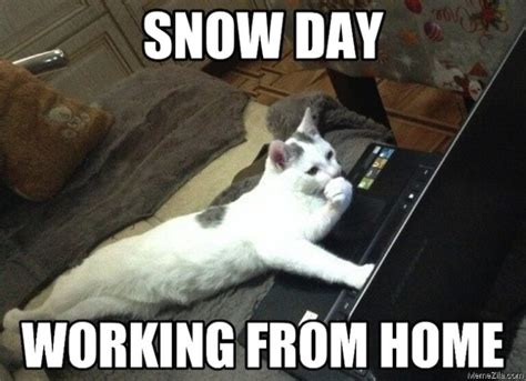 20 New Snow Day Memes When Cold Weather Meets Hot Humor