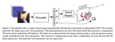 基于MANO的 D手部姿态估计方法 D Hand Shape and Pose from Images in the Wild 知乎