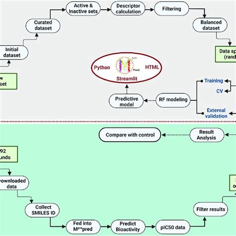 Schematic Workflow Of Building A Web App To Predict Bioactivities Of