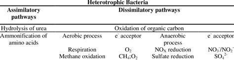 Bacterial Metabolic Pathways [21] Download Scientific Diagram
