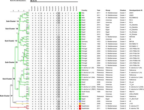 Dendrogram Based On Categorical Similarity Coefficient Of Six B