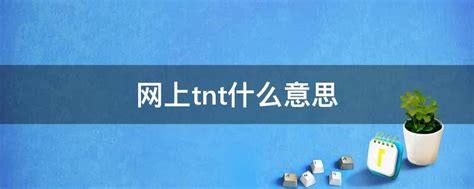 网上tnt什么意思 业百科