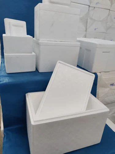 Eps Thermacol Packaging Ice Box At ₹ 30 Piece थर्मोकोल आइस बॉक्स In