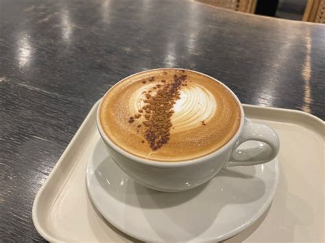 임신중기 23주 24주 일상ㅣ임산부카페인 임신중기 붓기 임산부 등통증 산전마사지 대구 펙스코 베이비페어 임산부요가 지음요가 대구 신세계 트립트랩 네이버 블로그