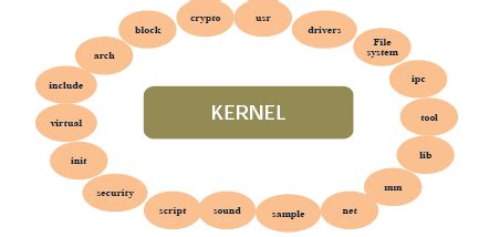 Different Directories In The Root Of Source Tree Download Scientific Diagram