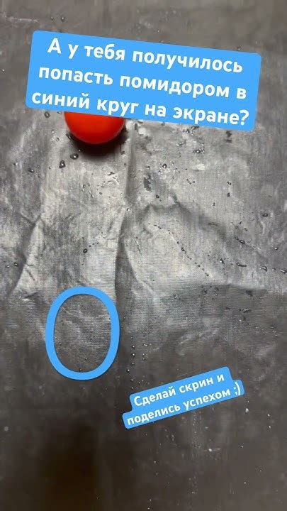 помидор #поймай помидор в круг #игра #shorts #shortsamazon - YouTube