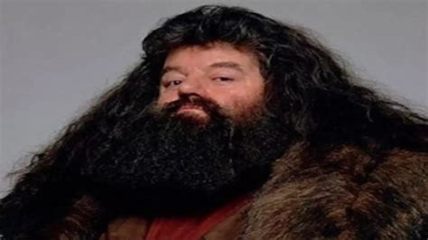 Rubeus Hagrid Actor Death 60 Photos Moonagedaydreamfilm