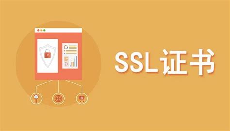 企业级SSL证书价格指南OV与EV证书解析 SSL证书申请指南网