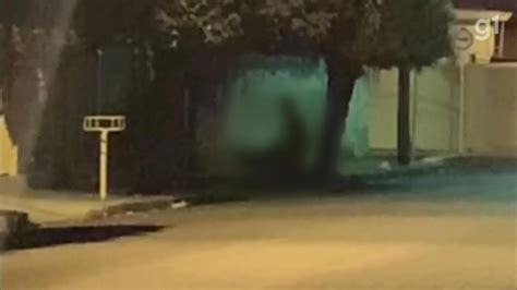 Casal é Flagrado Fazendo Sexo Em Rua De Cidade No Interior De Sp Vídeo