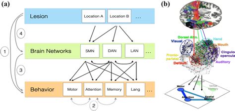 The Complexity Of Brain To Behavior Links A A Graphical Representation Download Scientific