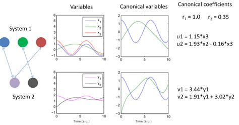 Canonical Correlation Analysis Cca A Simple Example Pepes Code Delicias