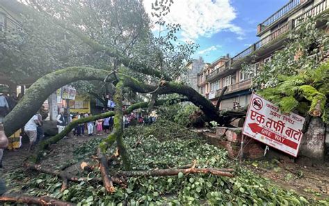 रूख ढलेर अवरूद्ध लुभुको सडक खुलाउँदै सुरक्षाकर्मी सेतोपाटी संवाददाता