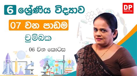 07 වන පාඩම චුම්බක 06 වන කොටස 06 වන ශ්‍රේණිය විද්‍යාව Youtube