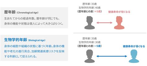 日本人に最適化されたエピジェネティック・クロック生物学的年齢測定検査を共同開発、日本で初めて市場導入へ ビューティーポスト