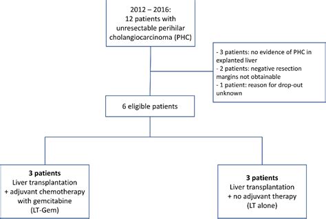 Figure 1 From Feasibility And Efficacy Of Adjuvant Chemotherapy With