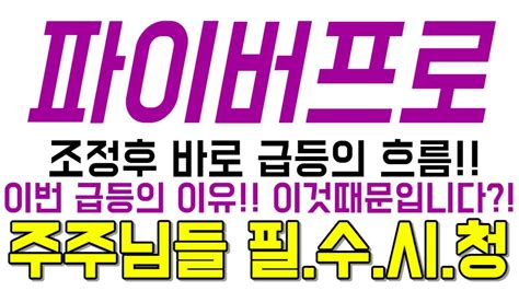 파이버프로 주가전망 이번 급등의 이유 이것때문입니다 Youtube
