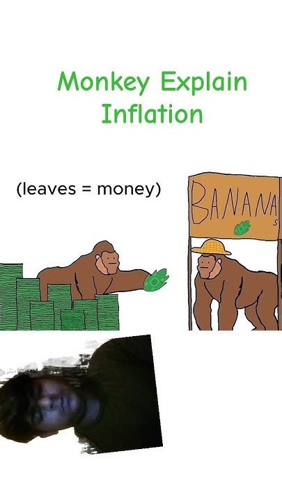 Money Animation Inflation Primateecnomics Ecnomic Economy Explained Primateeconomics