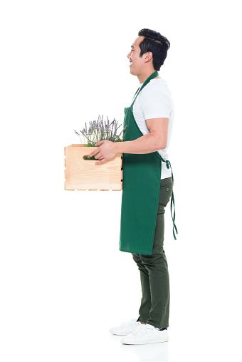 식물을 가진 상자를 들고 하는 녹색 앞치마를 입고 잘생긴 한국 남자 20 29세에 대한 스톡 사진 및 기타 이미지 20 29