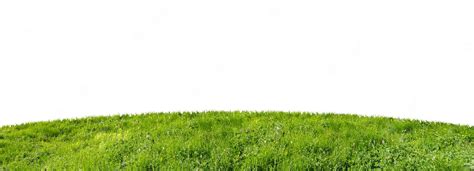 Premium Photo Green Grass Field Isolated On White Background