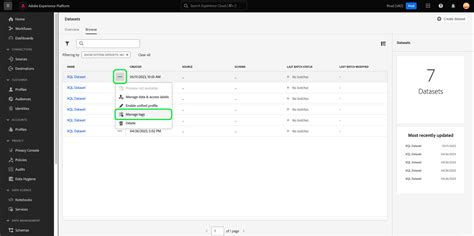 Datasets Ui Guide Adobe Experience Platform