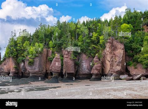 The Flowerpot Rock Formations At Hopewell Rocks Bay Of Fundy New Brunswick The Extreme Tidal