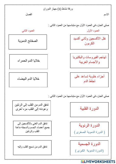 ورقة نشاط جهاز الدوران ثاني متوسط 2205 Maha6666