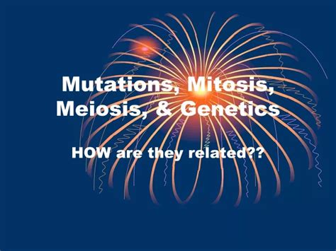 Ppt Mutations Mitosis Meiosis And Genetics Powerpoint Presentation