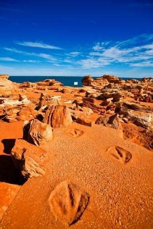 Dinosaur Footprints Broome Visitor Centre
