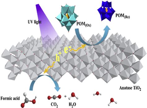 Shematic Illustration Of The Synergistic Effect Between TiO 2 And POM Download Scientific Diagram