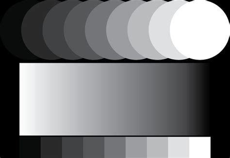 Grayscale Prerana Itnal