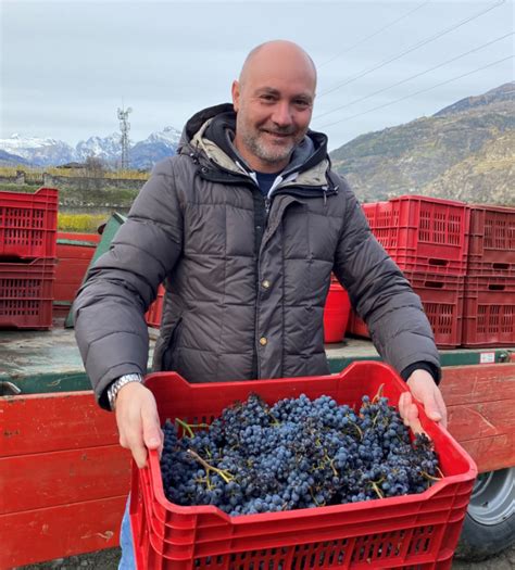Viaggio Tra I Vitigni Autoctoni Valdostani TuscanySommelier Un Blog