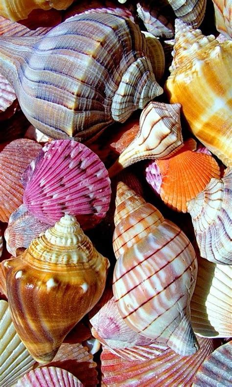 Pretty Wallpapers Discover 57 Wallpepers Ideas Cute Wallpapers