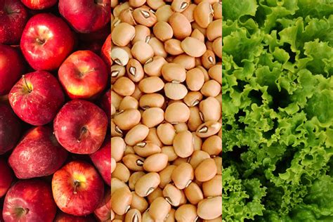 Alimentos Ricos Em Fibras Essenciais Para A Saúde Intestinal